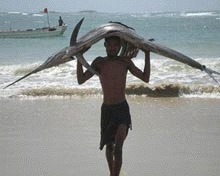 UE protejeaza pestii-spada - zooland.ro