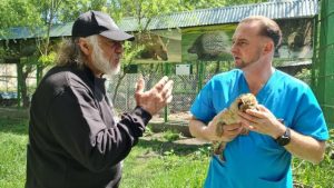 Un pui de ligru s-a născut la o grădină zoologică