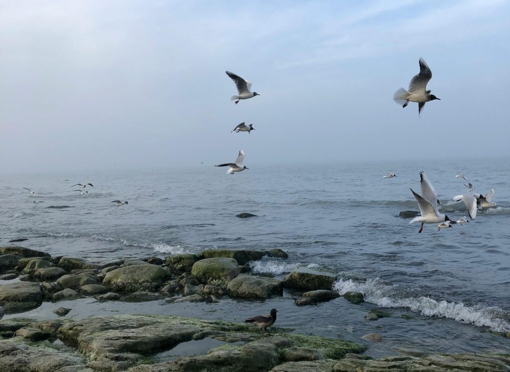 Azerbaidjanul trage un semnal de alarmă privind scăderea nivelului ...